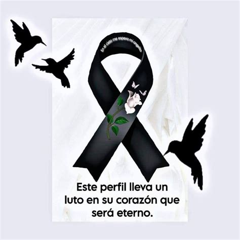 Las 72 Mejores Ideas De Moño Negro Para Guardar Hoy Imagen De Pesame