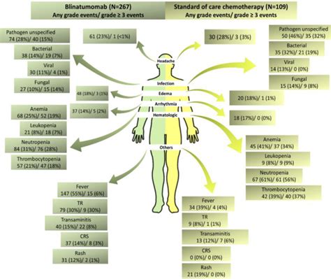 All About Blinatumomab The Bispecific T Cell Engager Immunotherapy For