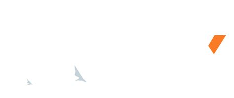 Ari Brooks Ibex Capital