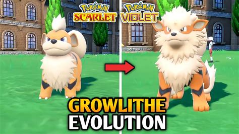 What Level To Evolve Growlithe Pokemon Crystal At Glen Kyser Blog