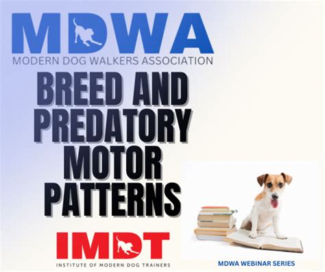 Breed And Predatory Motor Patterns