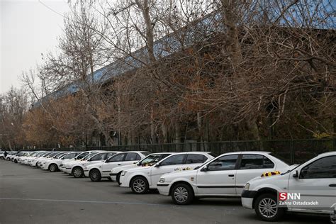 جشن ازدواج دانشجویی دانشگاه تهران