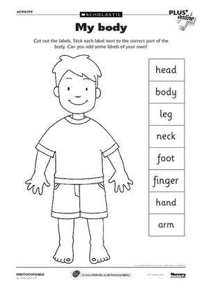 Body Parts Worksheet Can Use As A Dictionary To Label Parts Body