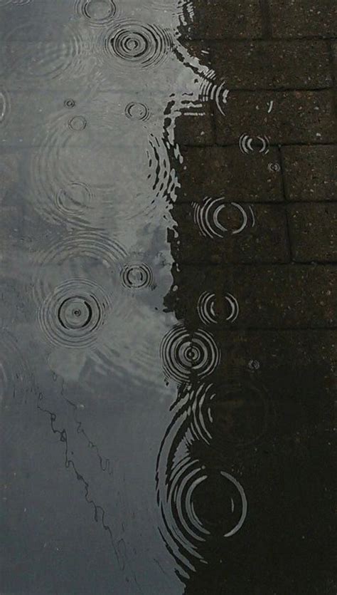 Лев Черняев Chernyaev Lev • Instagram Photos And Videos