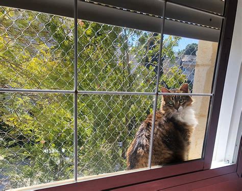 רשת למניעת נפילת חתולים כנפיים הרחקת יונים