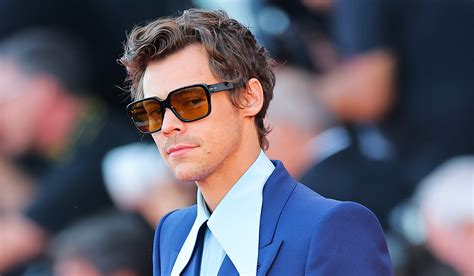 The Internets Losing Its Mind Over Harry Styles Sex Toys