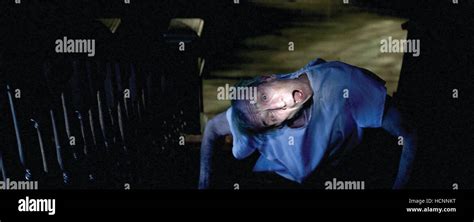 The Unborn Michael Sassone 2009 ©rogue Picturescourtesy Everett