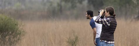 Learn More About Warnell Warnell School Of Forestry And Natural Resources