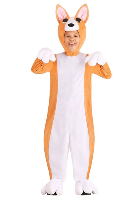 Corgi En Costume De Pokémon Corgi Disapproves Of Halloween Costume