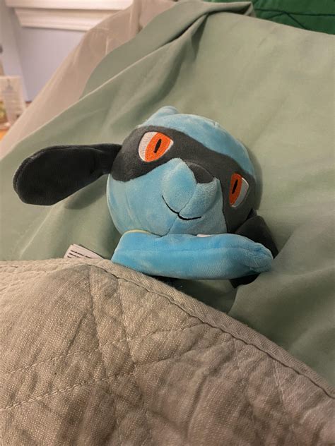 Sleepy Riolu R Pokeplush