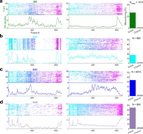 Movie Frame Selectivity In Hippocampal Neurons A Raster Plots Of