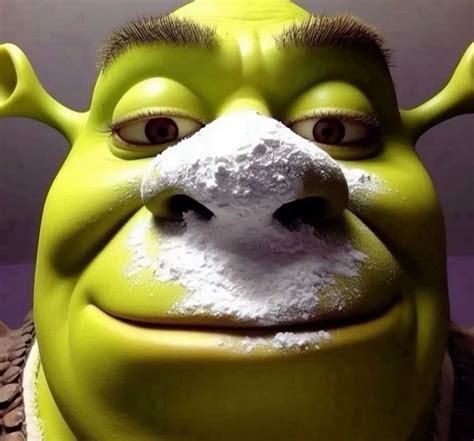 21 Idées De Shrek En 2025 Mèmes Drôles Shrek Fond Décran Téléphone