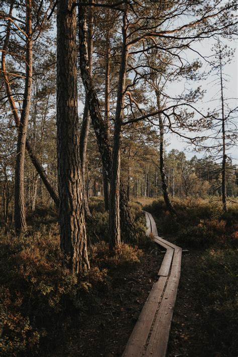 Die Schönsten Nationalparks In Schweden 8 Ausgewählte Tipps