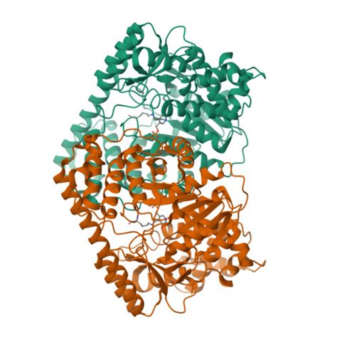 Rcsb Pdb 8k3i Cryo Em Structure Of Psep Apo