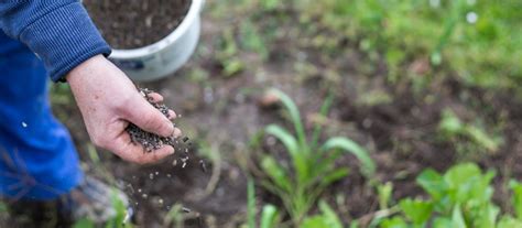 Bio Force® Bio Based Additives