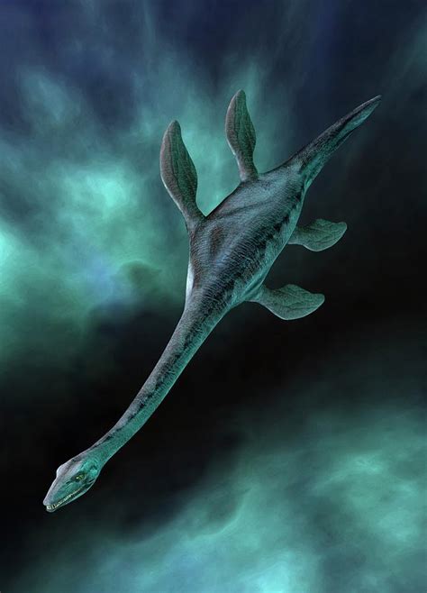 Plesiosaur 2 By Science Photo Library