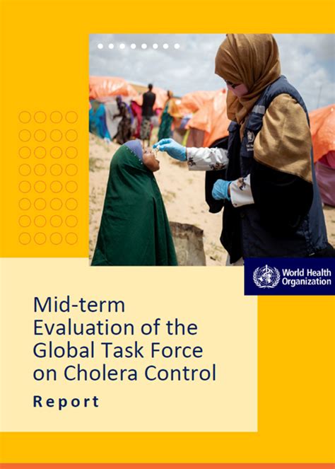 Mid Term Evaluation Of The Global Task Force On Cholera Control Report