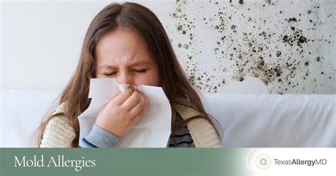Mckinney And Southlake Mold Allergy Testing And Treatment Texasallergymd