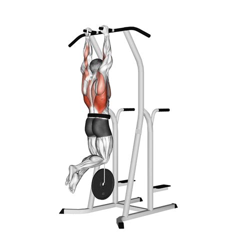 Neutral Grip Pull Up Benefits Muscles Worked And More Inspire Us