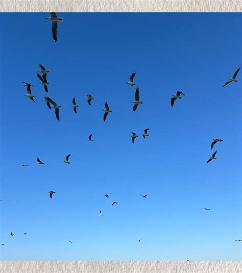 The Flight Code Indi Temptation