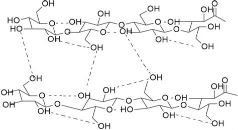 Engineering Cellulose For Regenerative Medicine Bacterial Cellulose