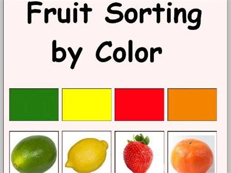 Fruit Sorting By Color Cognitive Activities Teaching Resources