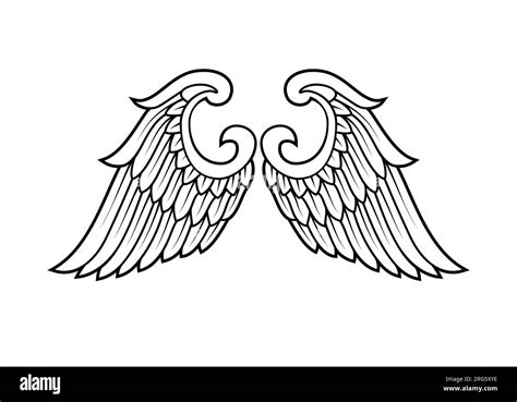 Classic Beautiful Angel Feathered Bird Wings Black And White Outline