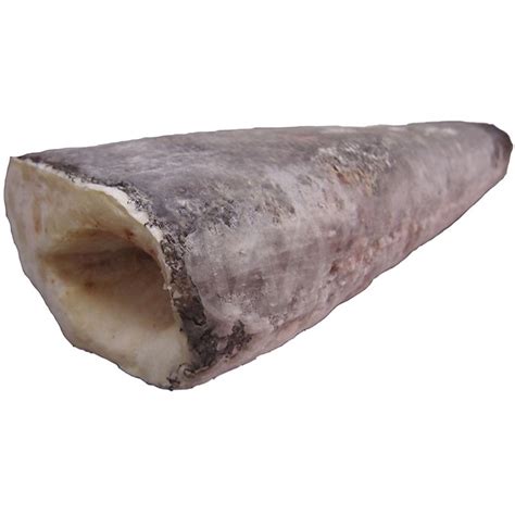 Cod Fish 5 9kg Woo Joo Food