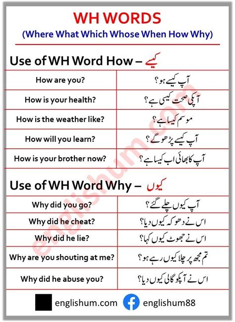 ask question in english with wh words using where what which whose when
