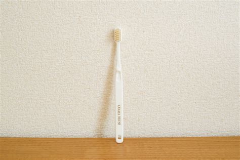 かなや刷子 豚毛 歯ブラシ 小 1本 暮らしの道具 Hinode（ひので） 和食器・日用品のオンライン通販