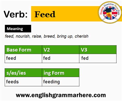 Feed V1 V2 V3 V4 V5 Past Simple And Past Participle Form Of Feed