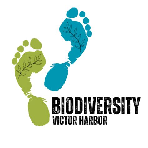 News This Froth And Bubble On The Inman River Weir Is Not Karenia