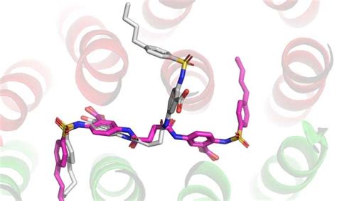 Structural Advances In Multidrug Resistant Acinetobacter Baumannii