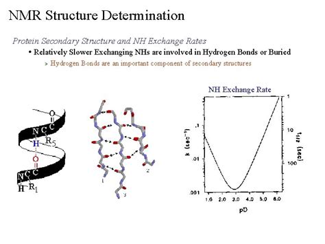 Nmr Structure Determination With The Nmr Assignments And