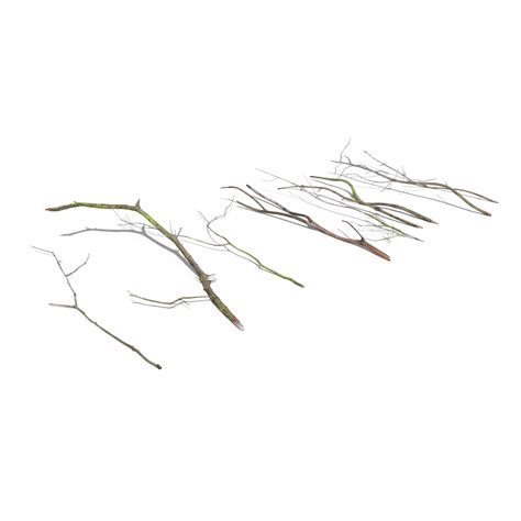 Spruce Twigs 3d Model By Kambur