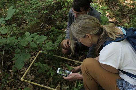 Citizen Science At The Sanctuary