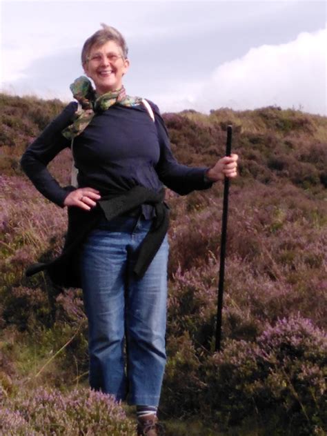 Gw Nw 051 Moel Fenlli Activation Reports Sota Reflector