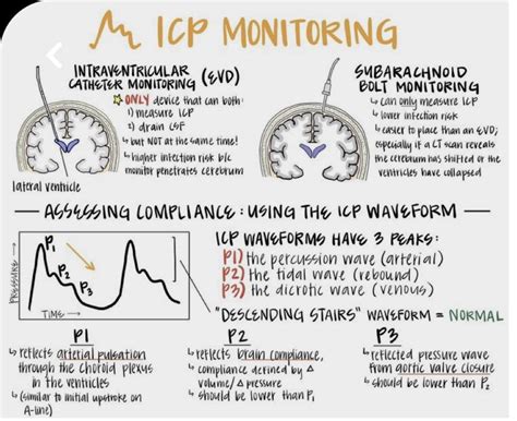 Pin On Iih Awareness And Research