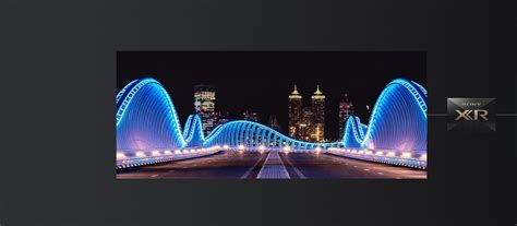 Cognitive Processor Xr™ Elipso