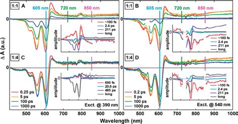 Transient Absorption Spectra Recorded At Selected Time Delays For