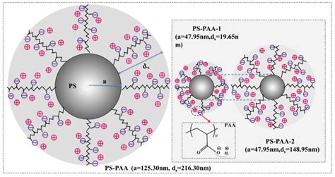 Sketch Of Three Kinds Of Spbs Investigated Linear Chains Of
