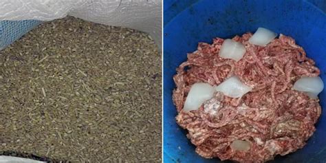 ضبط لحوم وأجبان منتهية الصلاحية بريف دمشق S A N A