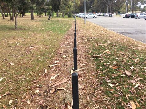 Stay Updated Your Voice Nedlands