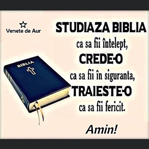 Adrian Constantin Youtube