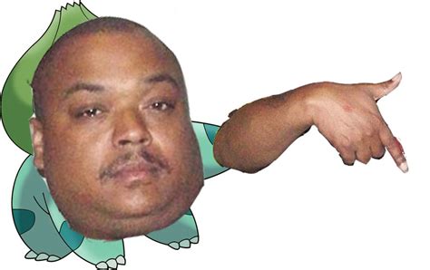 Bulbizarre M N M Ss V Flickr