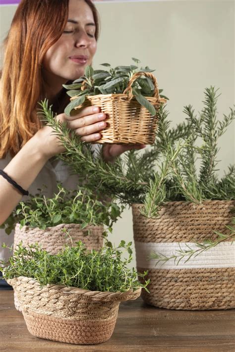 Vimin Explore Creative Floral Solutions