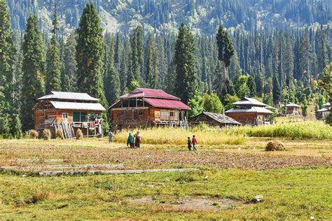 Makhdoom Adeel Abbas Insearchpk