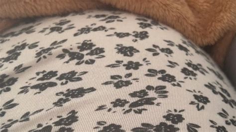 Pregnant Belly Movements Ellielouise Clips4sale
