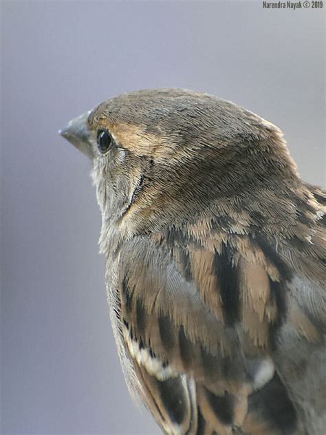 Future Imperfect Tense A Sliver Of Life