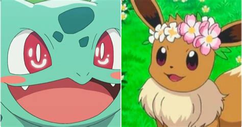 Hình ảnh đáng Yêu Cutest Pokemon Ever Tìm Hiểu Thêm Về Chúng